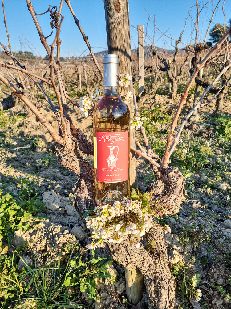 272898538_5240117309333650_6597664200039540810_n_1200x1200.jpg?v=1711472391